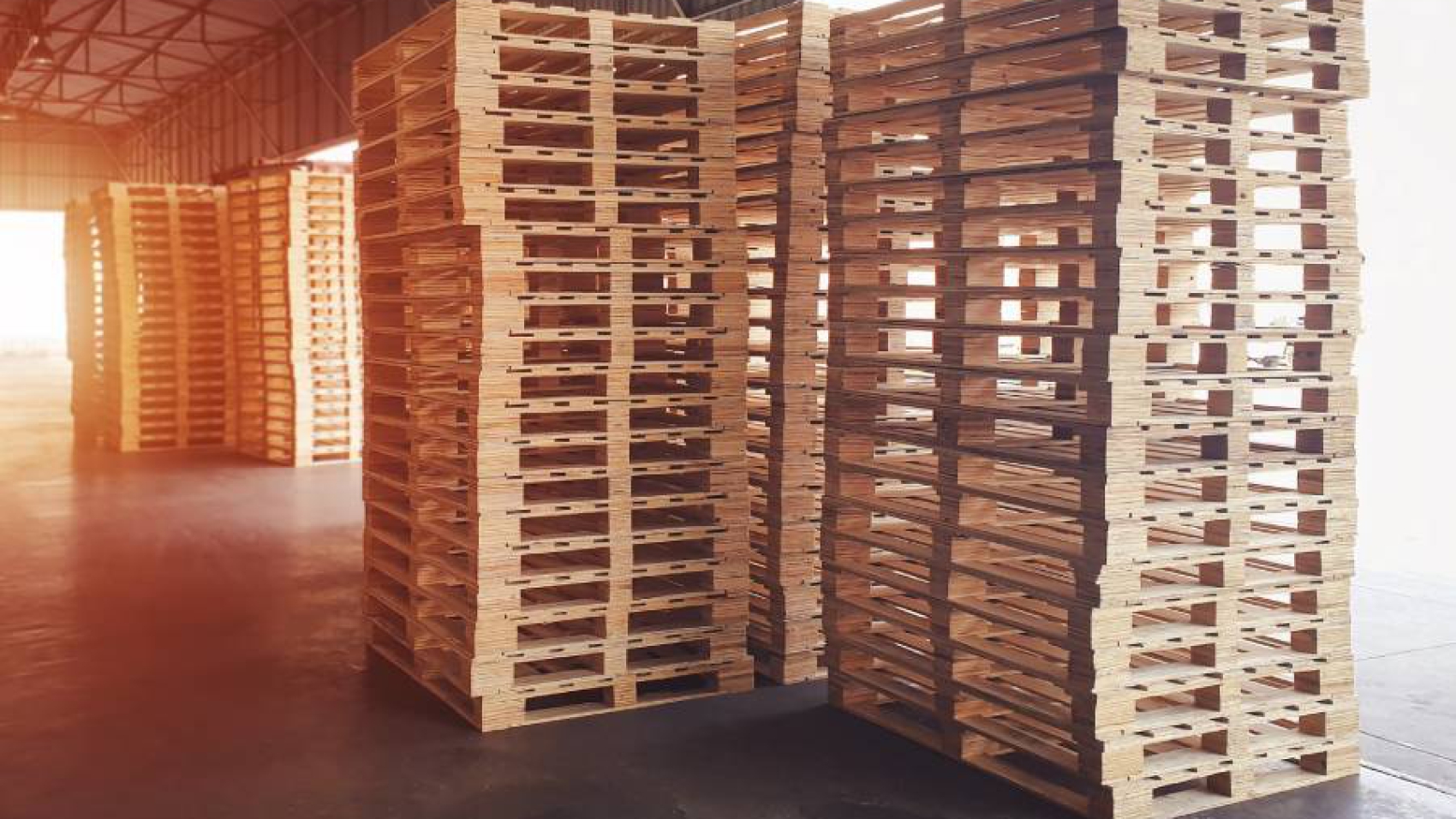 Types Of Pallets | 2 Main Categories (Wooden & Plastic)